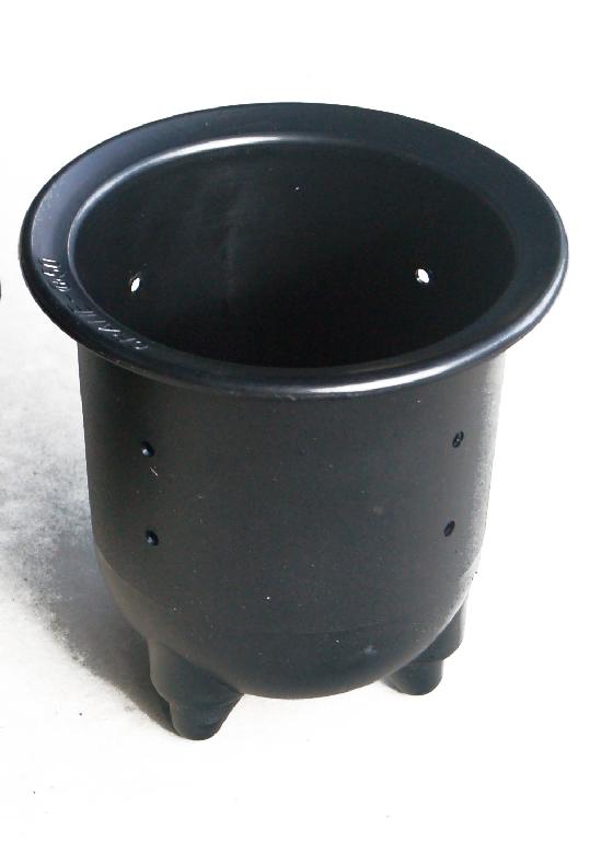 Japanese Cauldron Pot | Orchidup