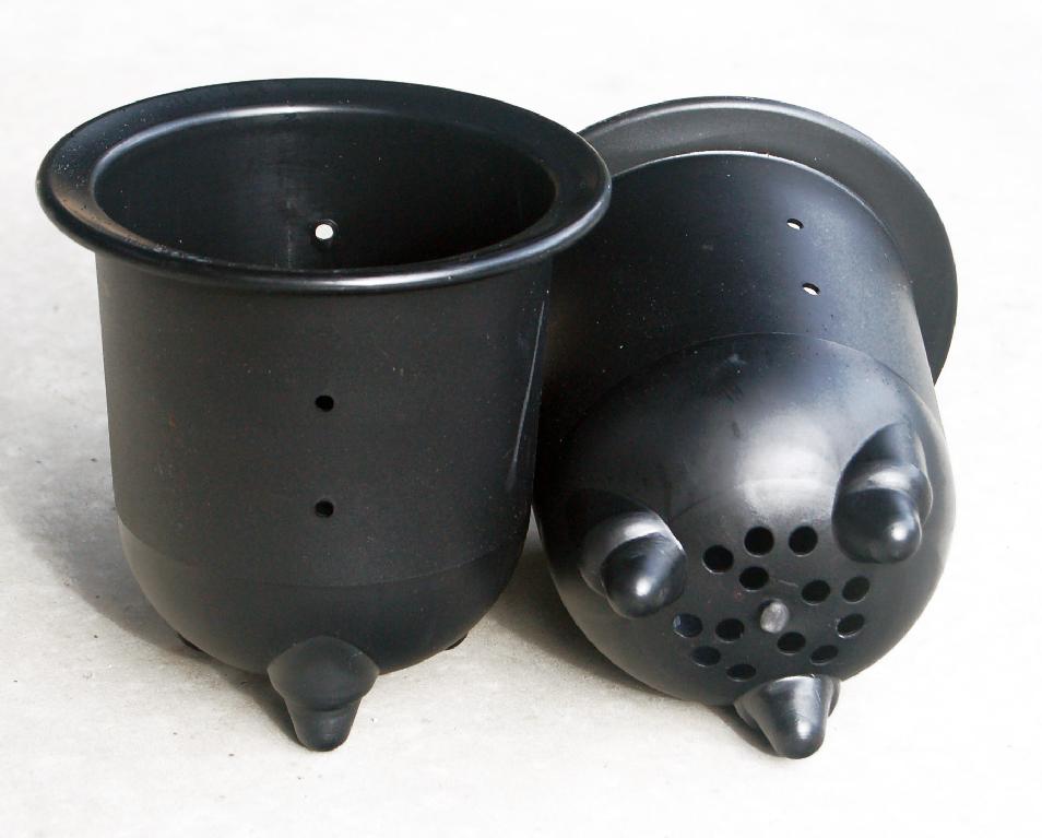 Japanese Cauldron Pot | Orchidup